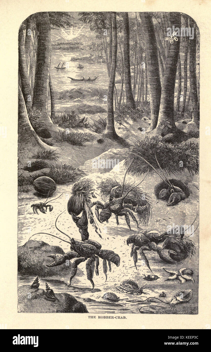 What Mr. Darwin saw in his voyage round the world in the ship Beagle ...