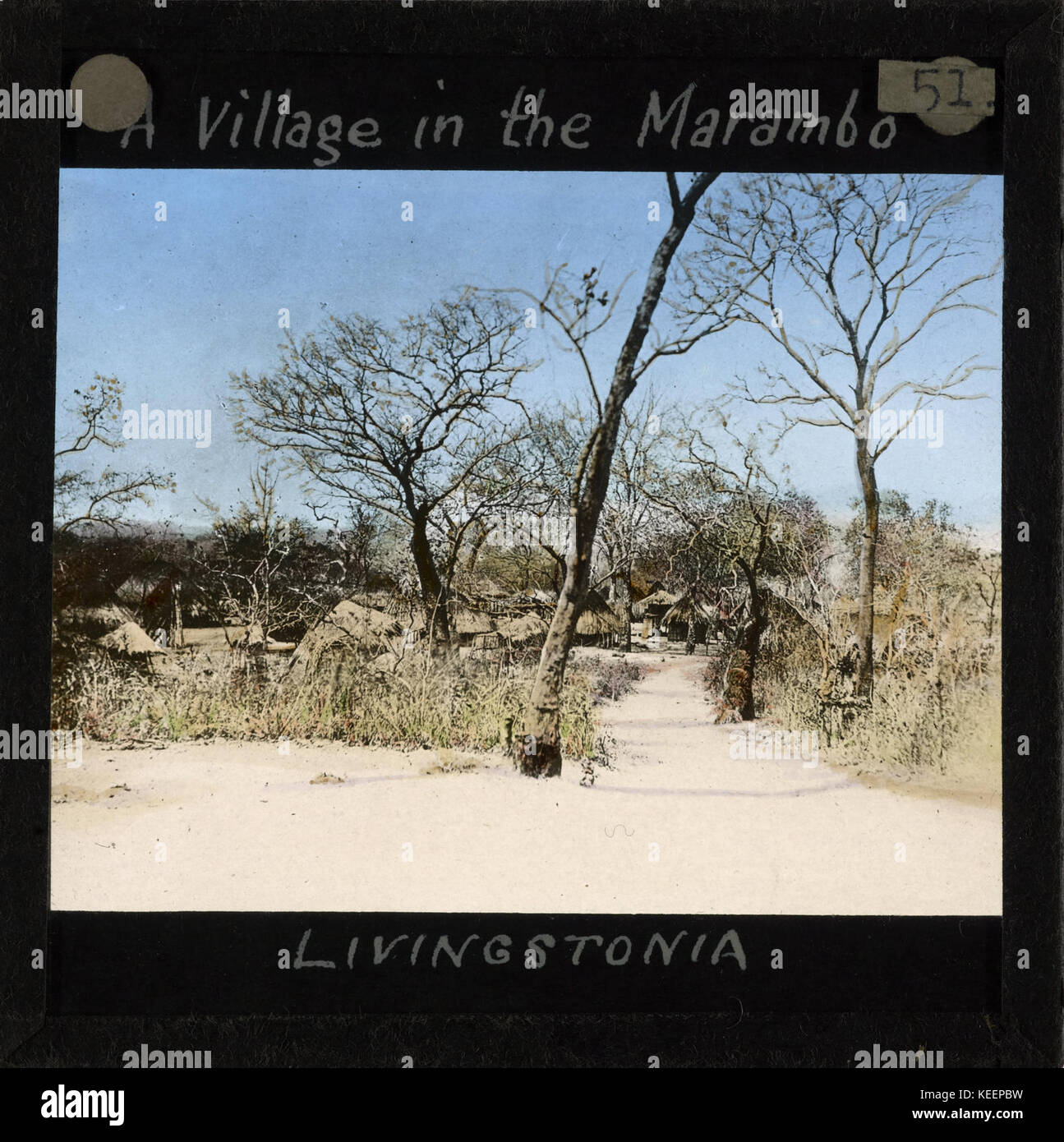 Marambo hi-res stock photography and images - Alamy