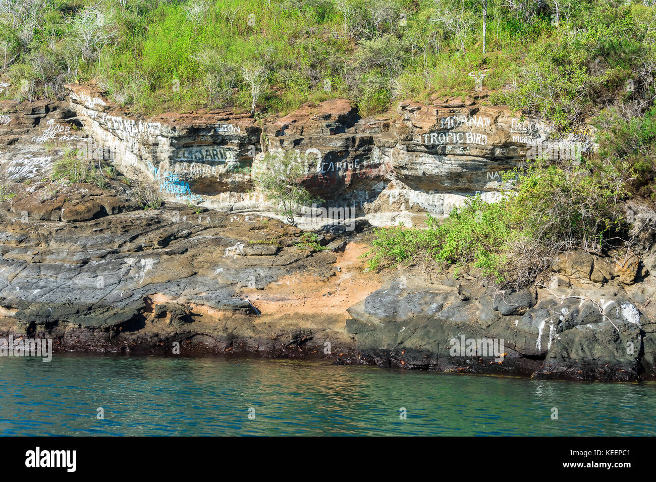 Tagus Cove,Isabela Island,Galapagos MAY 9 2017: The island was favoured ...