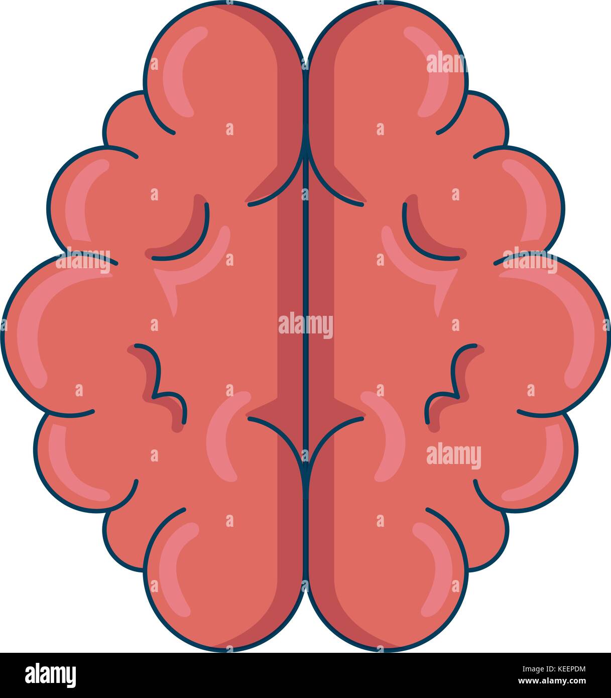 brain organ isolated icon Stock Vector Image & Art - Alamy