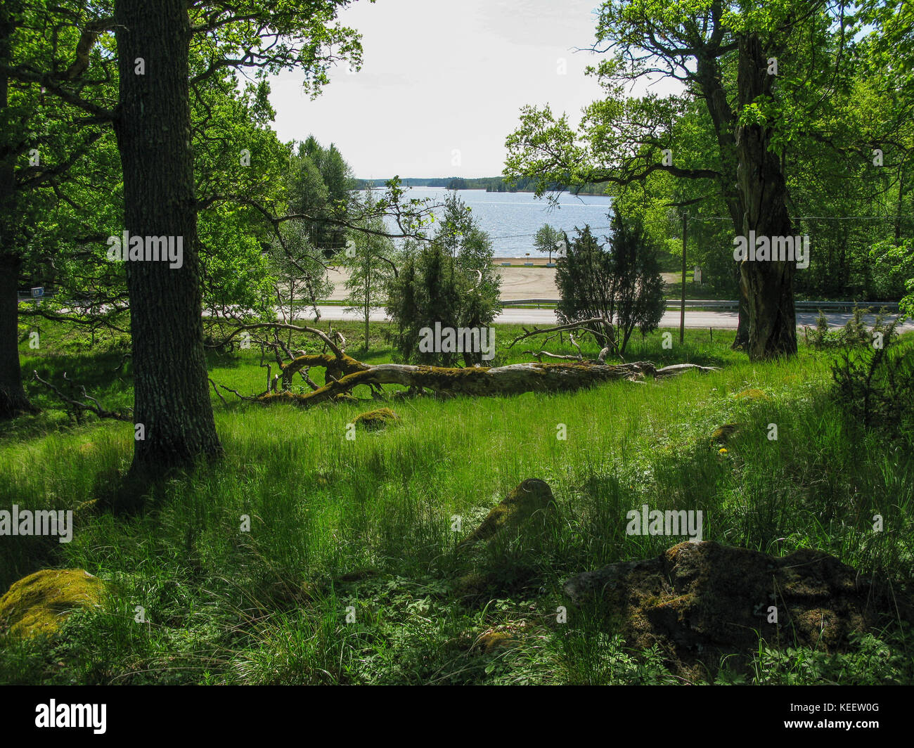 Protected forest area hi-res stock photography and images - Alamy