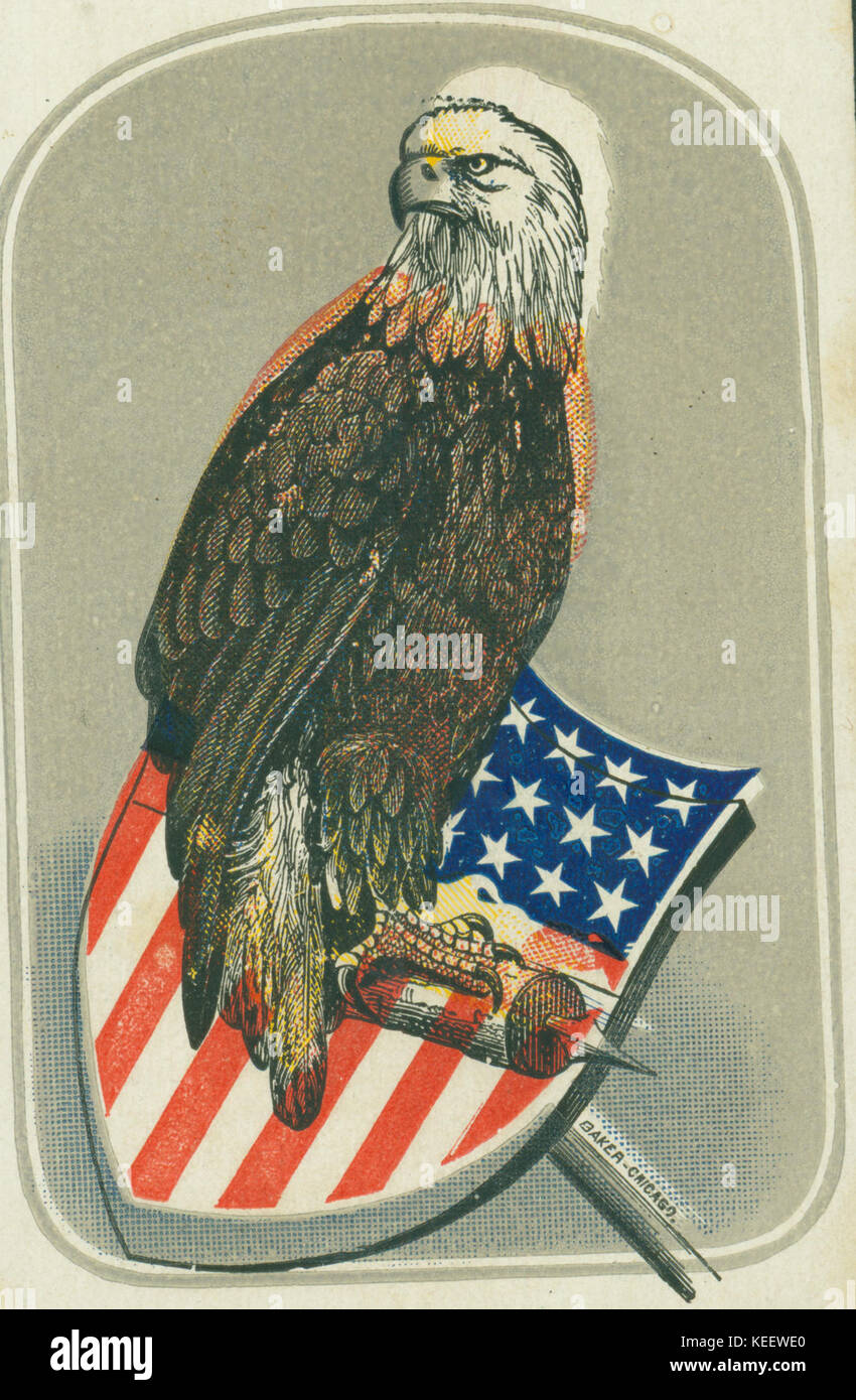 American eagle design bald eagle hi-res stock photography and images ...