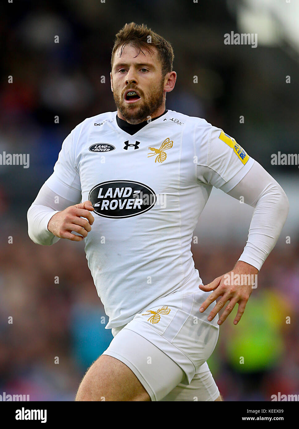 Elliot Daly, Wasps Stock Photo - Alamy