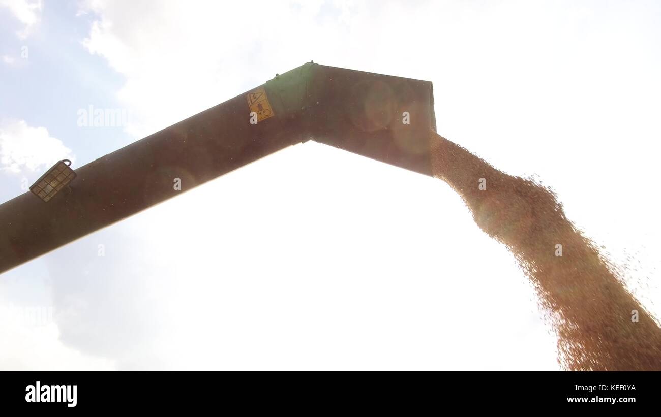 Combine harvester architecture unloading grain into wagon. Combine ...
