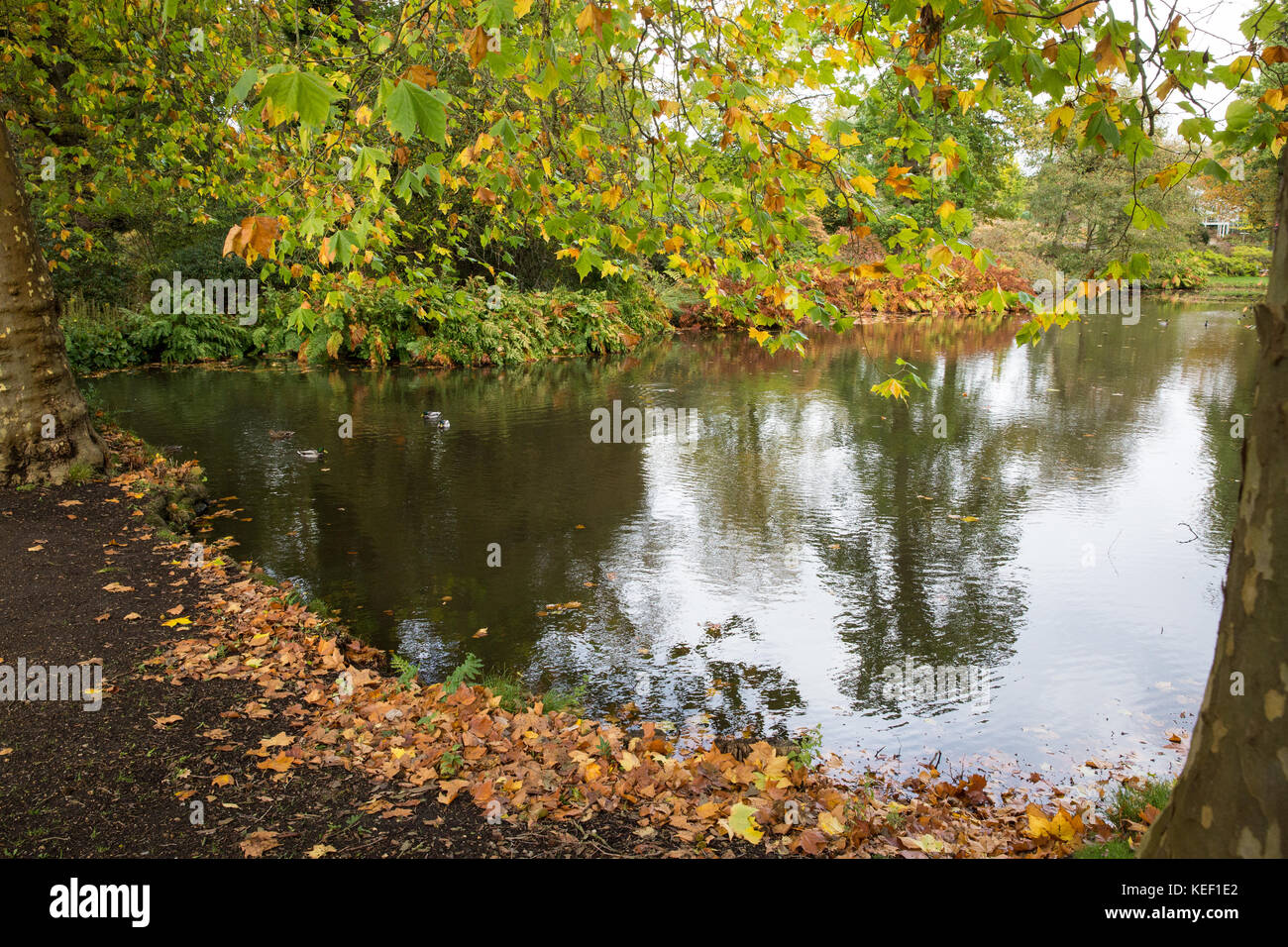 Englefield estate hi-res stock photography and images - Alamy