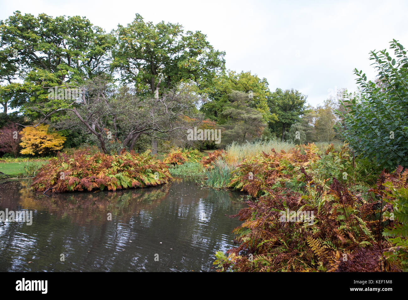 Englefield gardens hi-res stock photography and images - Alamy