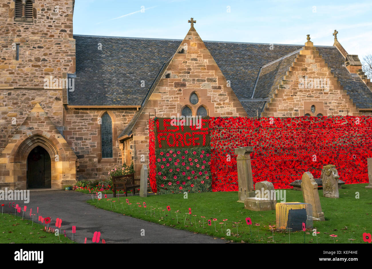 Remembrance day poppy cascade hi-res stock photography and images - Alamy