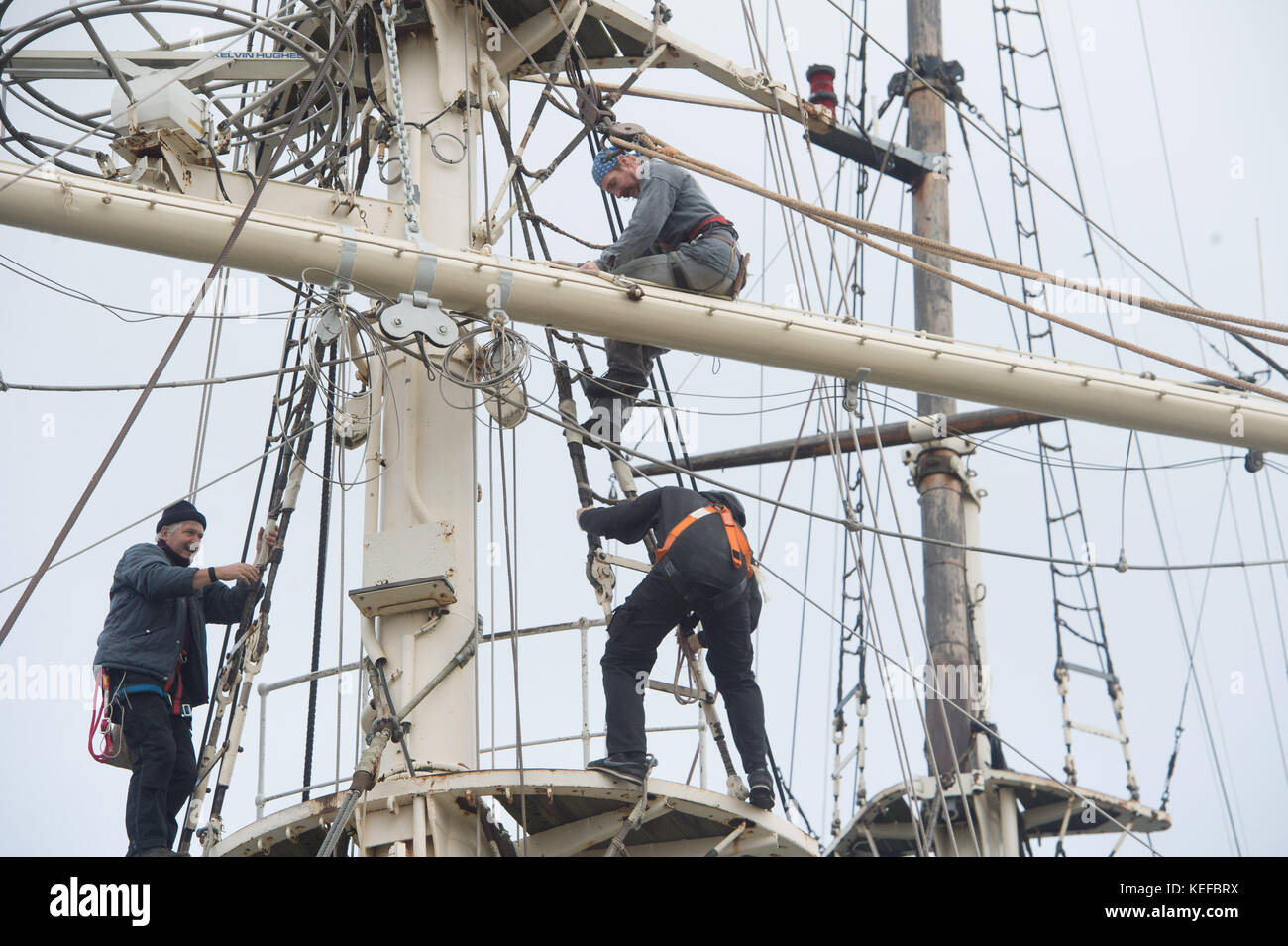 Operation greif hi-res stock photography and images - Alamy