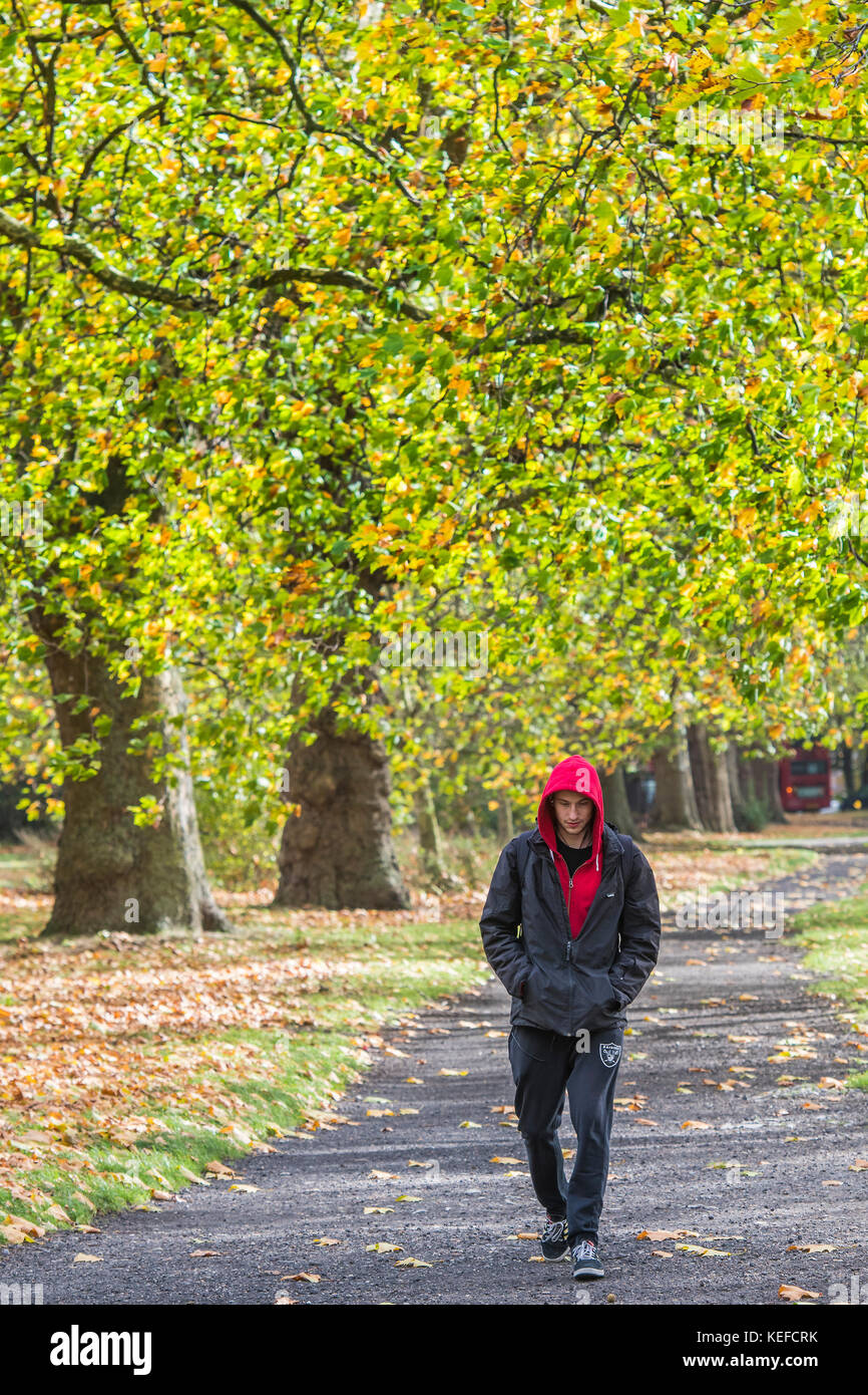 Clapham Common, London, UK. 21st Oct, 2017. UK Weather. A walker enjoys ...