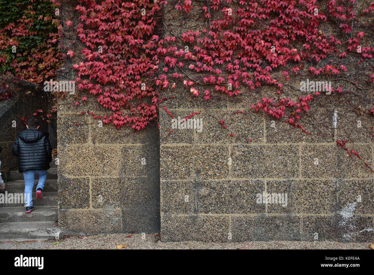 Horse Guards, London, UK. 21st Oct, 2017. UK Weather. Admiralty Citadel ...