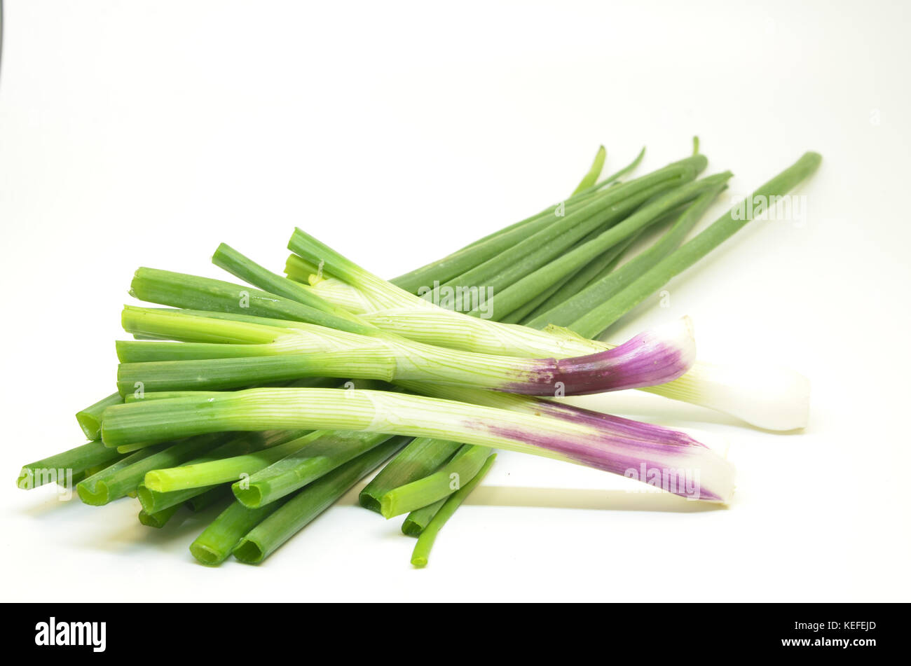 Fresh spring onions isolated over white background Stock Photo - Alamy