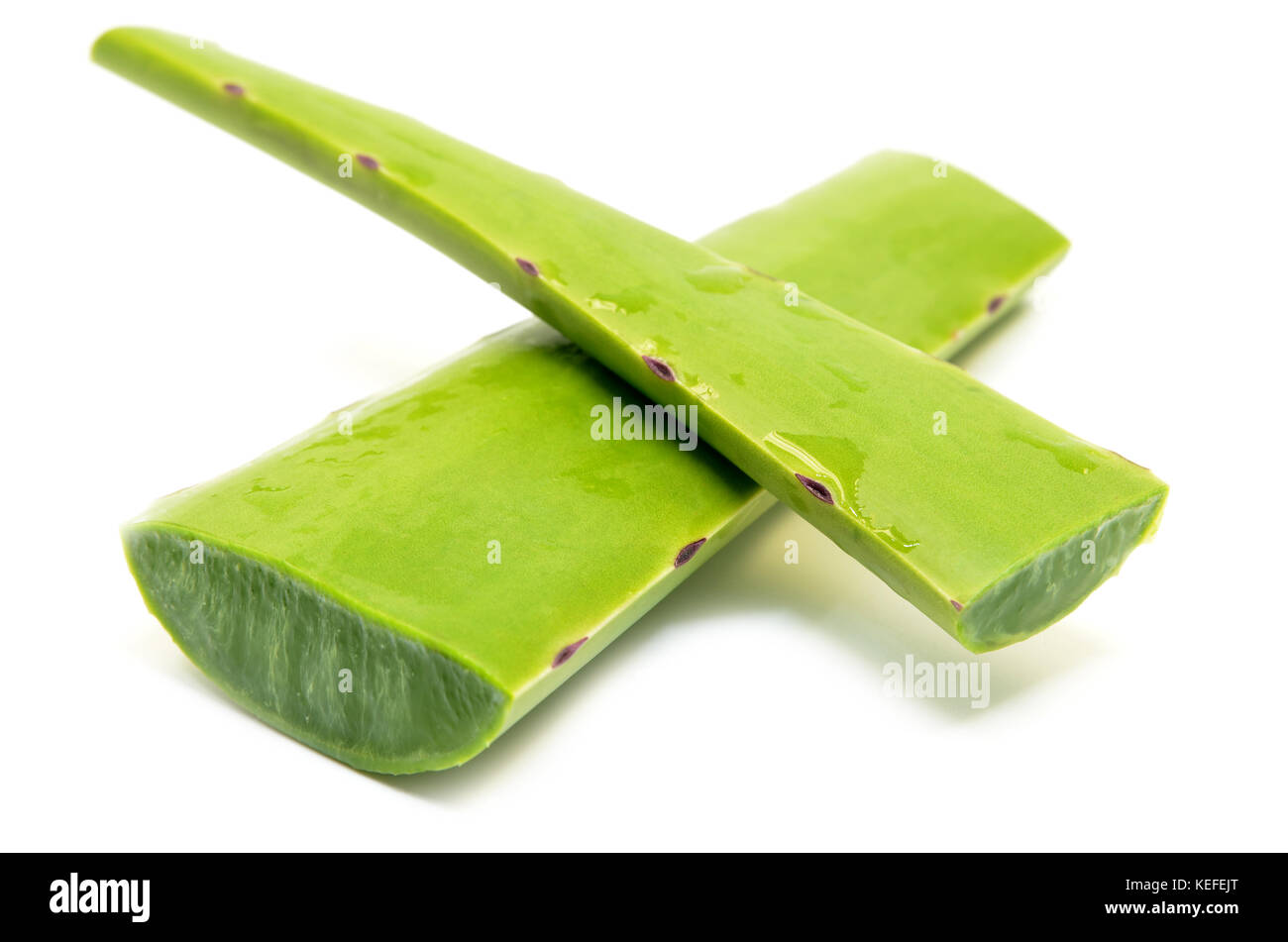 Aloe vera fresh leaf isolated over white Stock Photo - Alamy