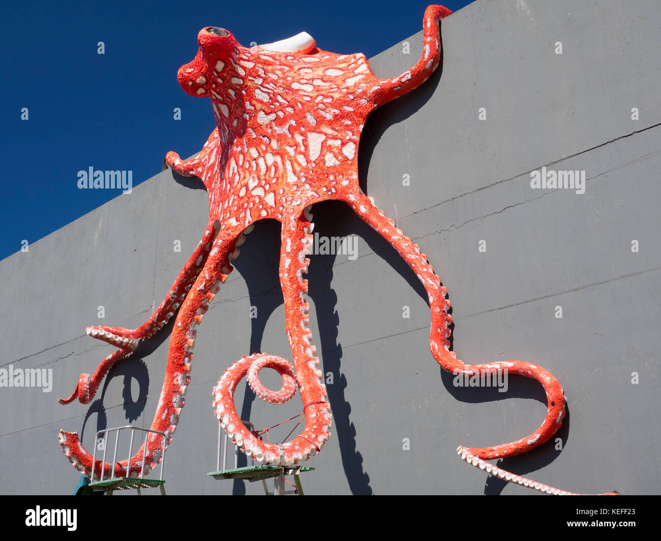 Giant red octopus hi-res stock photography and images - Alamy