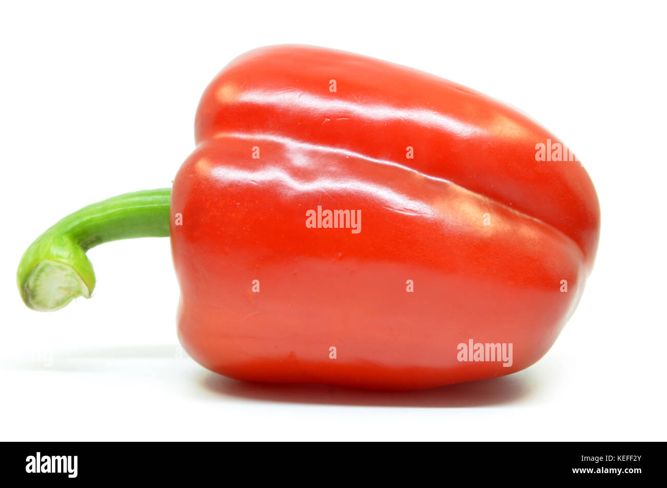 Single red pepper isolated on white background Stock Photo - Alamy