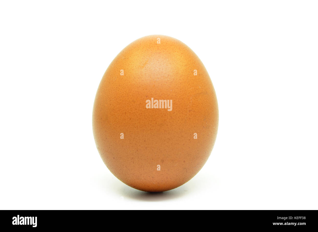Single chicken egg isolated on white background Stock Photo - Alamy