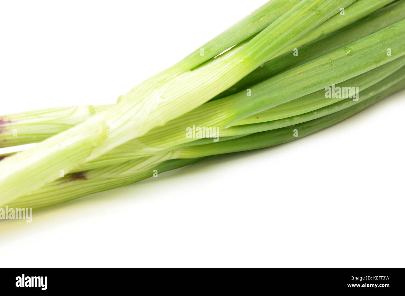 Fresh spring onions isolated over white background Stock Photo - Alamy