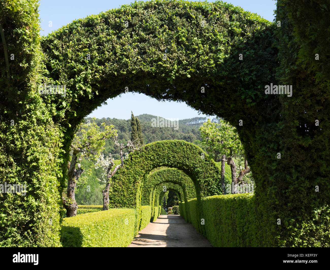 Secluded footpath in the Mateus Palace, Portugal Stock Photo - Alamy