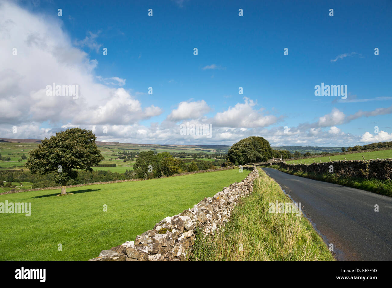 Country road in Wensleydale, Yorkshire Dales, England on a beautiful ...