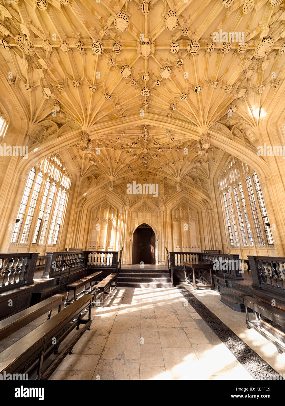 Ceiling of the Divinity School of the Bodleian Library, Oxford 4 Stock ...