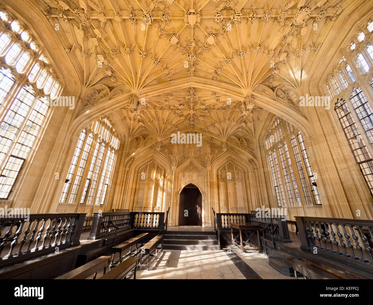 Vaulted ceiling of the Divinity School of the Bodleian Library, Oxford ...