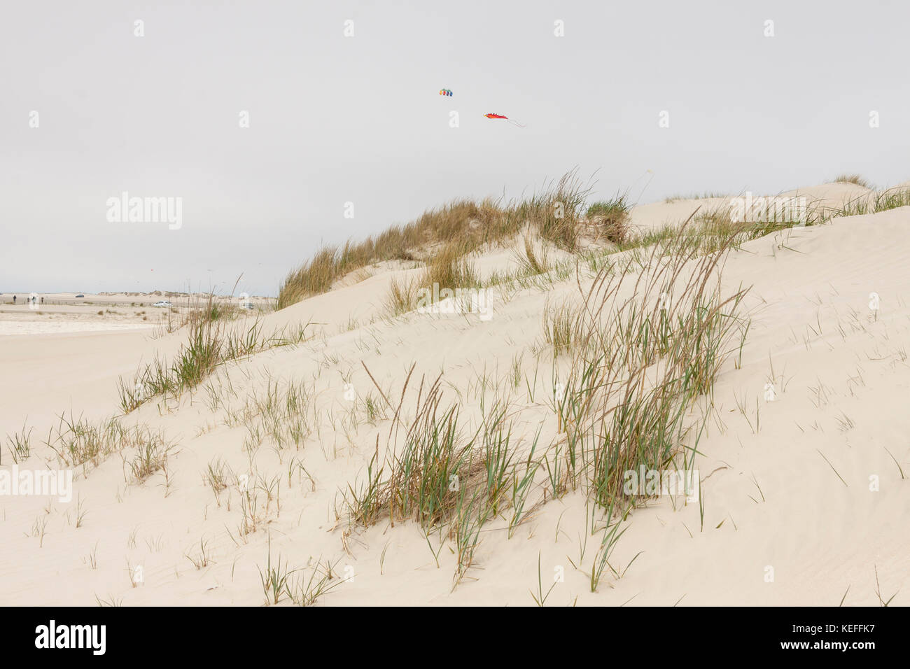 Beach on Romo Island. Denmark, Europe Stock Photo - Alamy