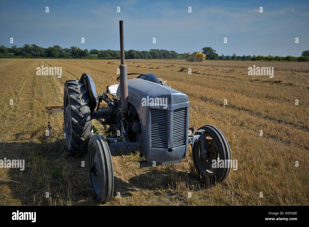 little grey Ferguson Fergie tractor on combined field Stock Photo - Alamy