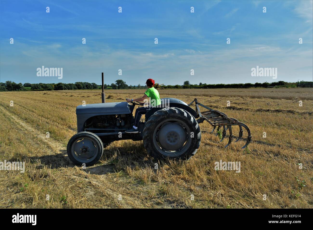 Teen driving grey fergie Ferguson tractor, with cultivator on English ...