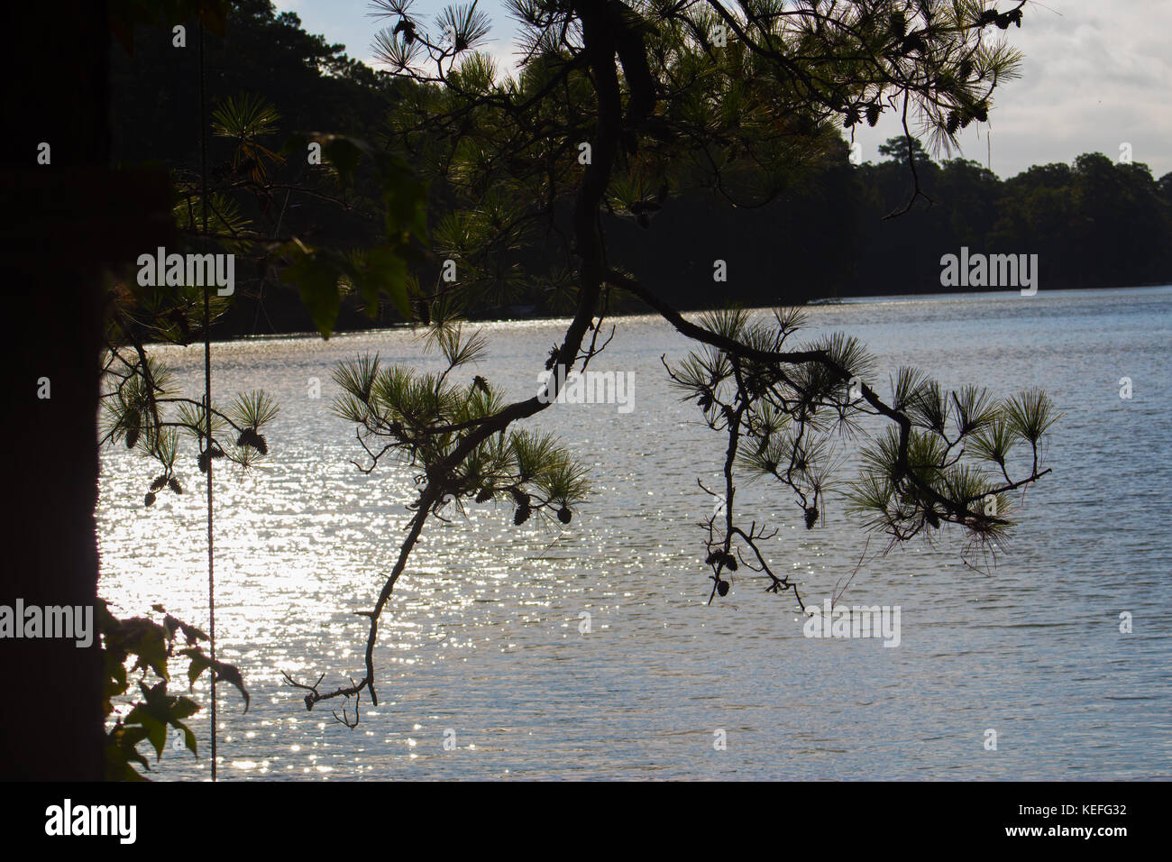 Dull red lake and yellow hi-res stock photography and images - Alamy