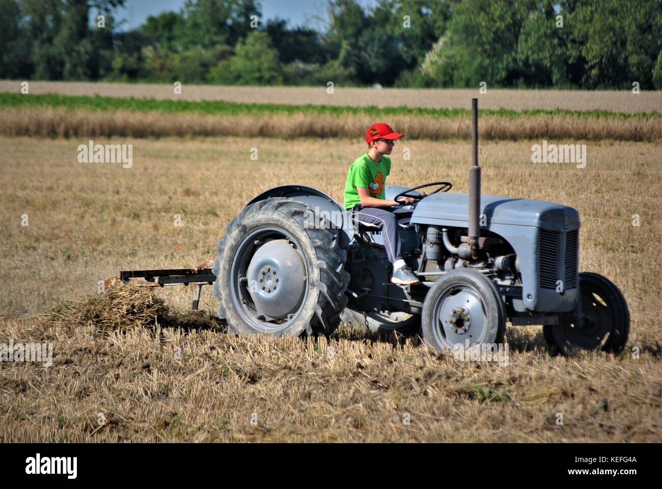 Teenage boy driving grey Ferguson tractor with cultivator Stock Photo ...