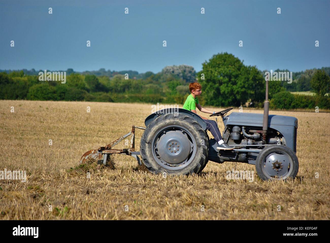 Teenage boy driving grey Ferguson tractor with cultivator Stock Photo ...