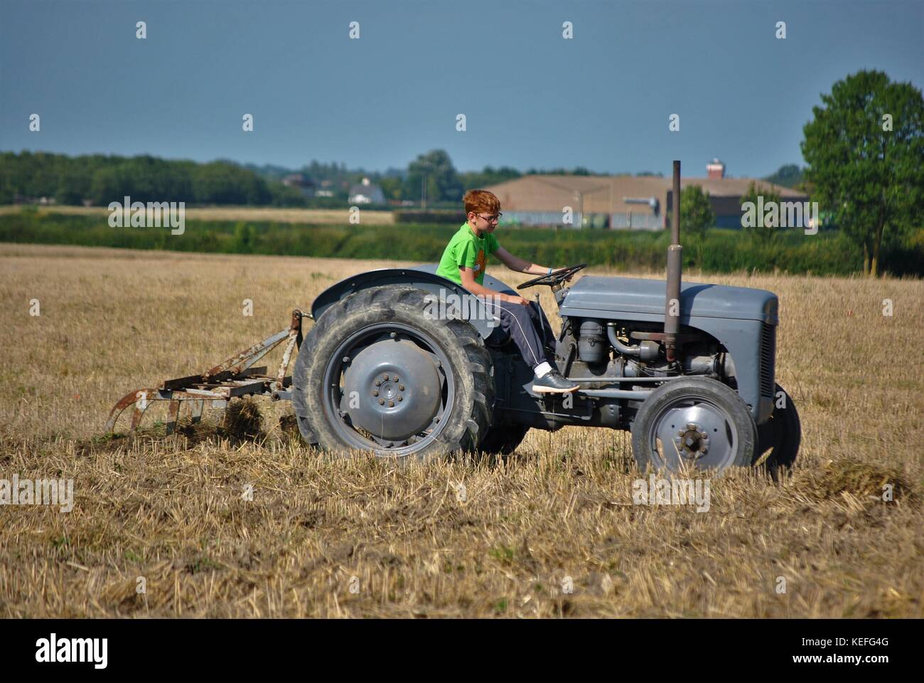 Teenage boy driving grey Ferguson tractor with cultivator Stock Photo ...