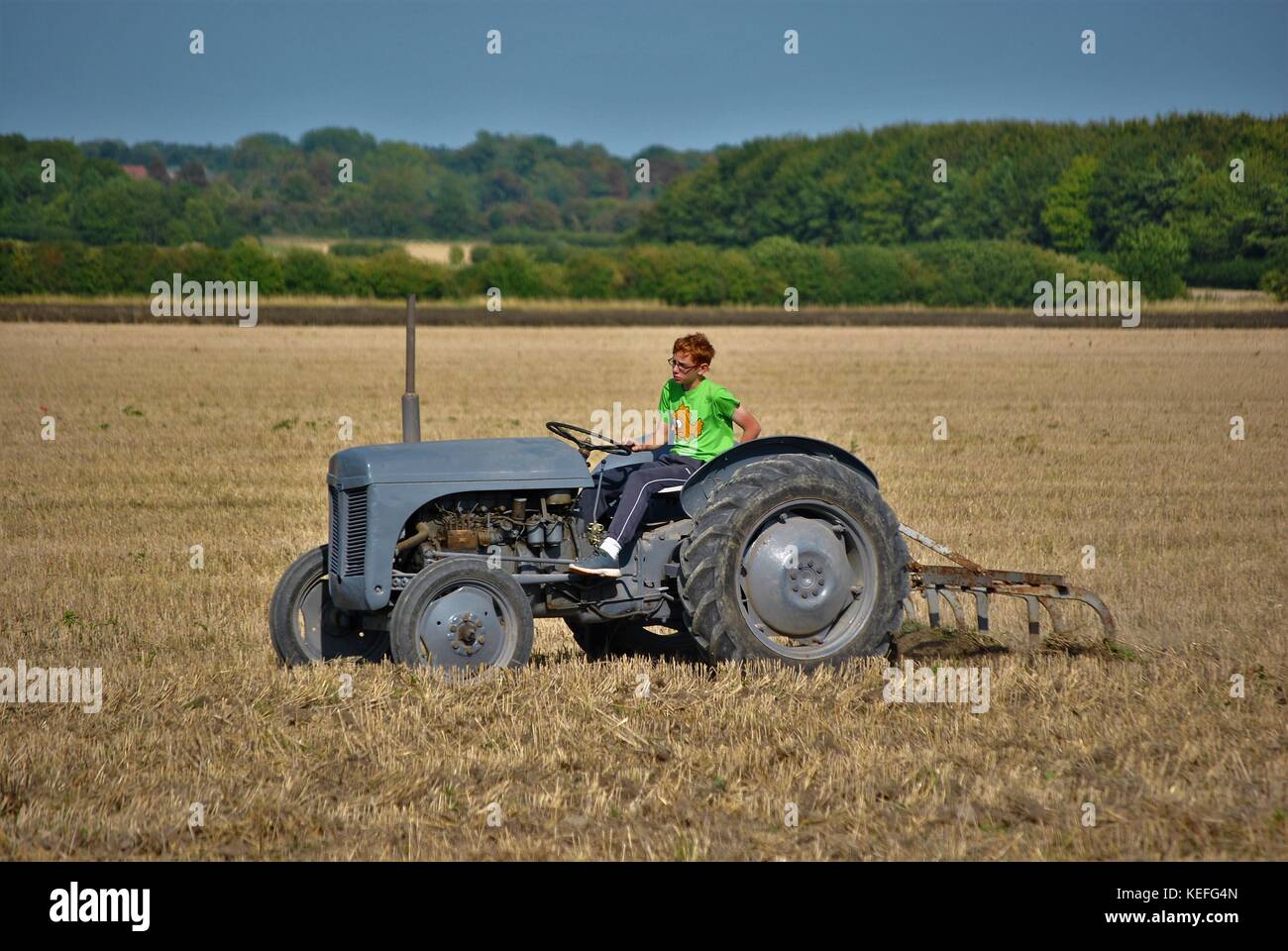 Teenage boy driving grey Ferguson tractor with cultivator Stock Photo ...