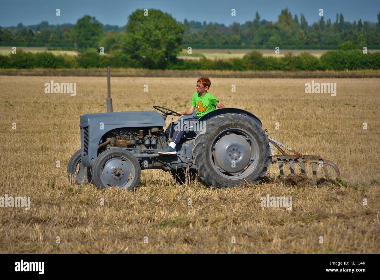 Teenage boy driving grey Ferguson tractor with cultivator Stock Photo ...