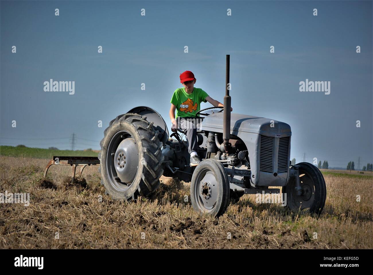 Teenage boy driving grey Ferguson tractor with cultivator Stock Photo ...