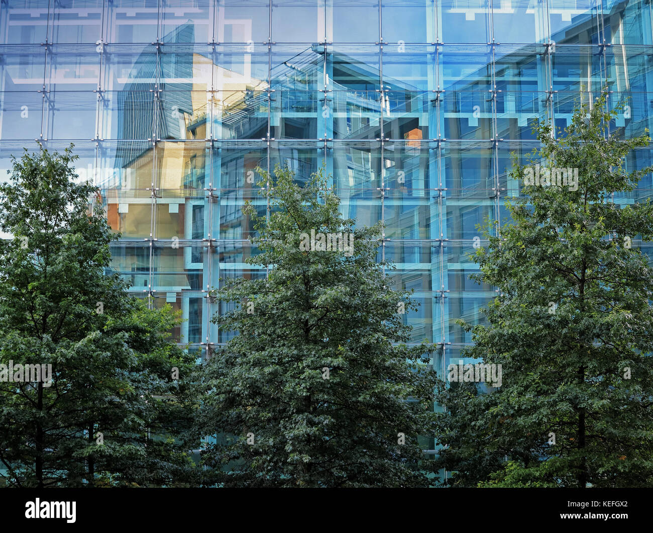 Buildings behind trees hi-res stock photography and images - Alamy