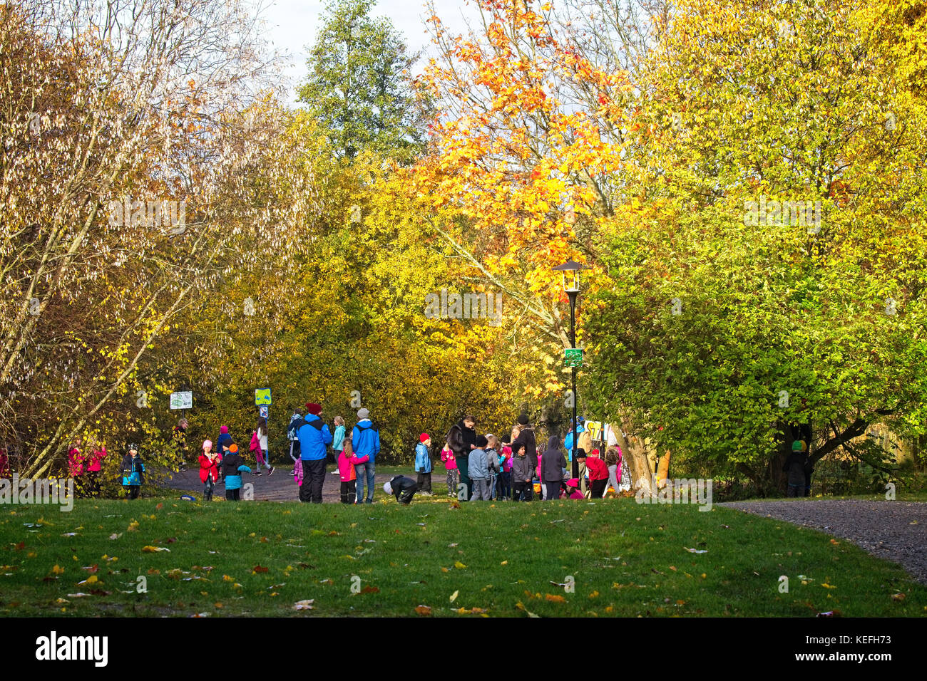 Primary school children in the park learning nature in the park. Solna ...