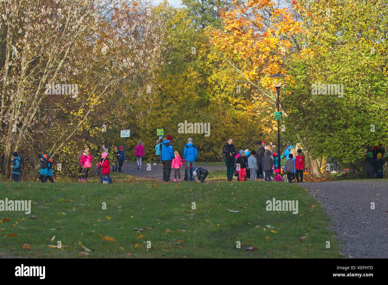 School kids nature hi-res stock photography and images - Alamy