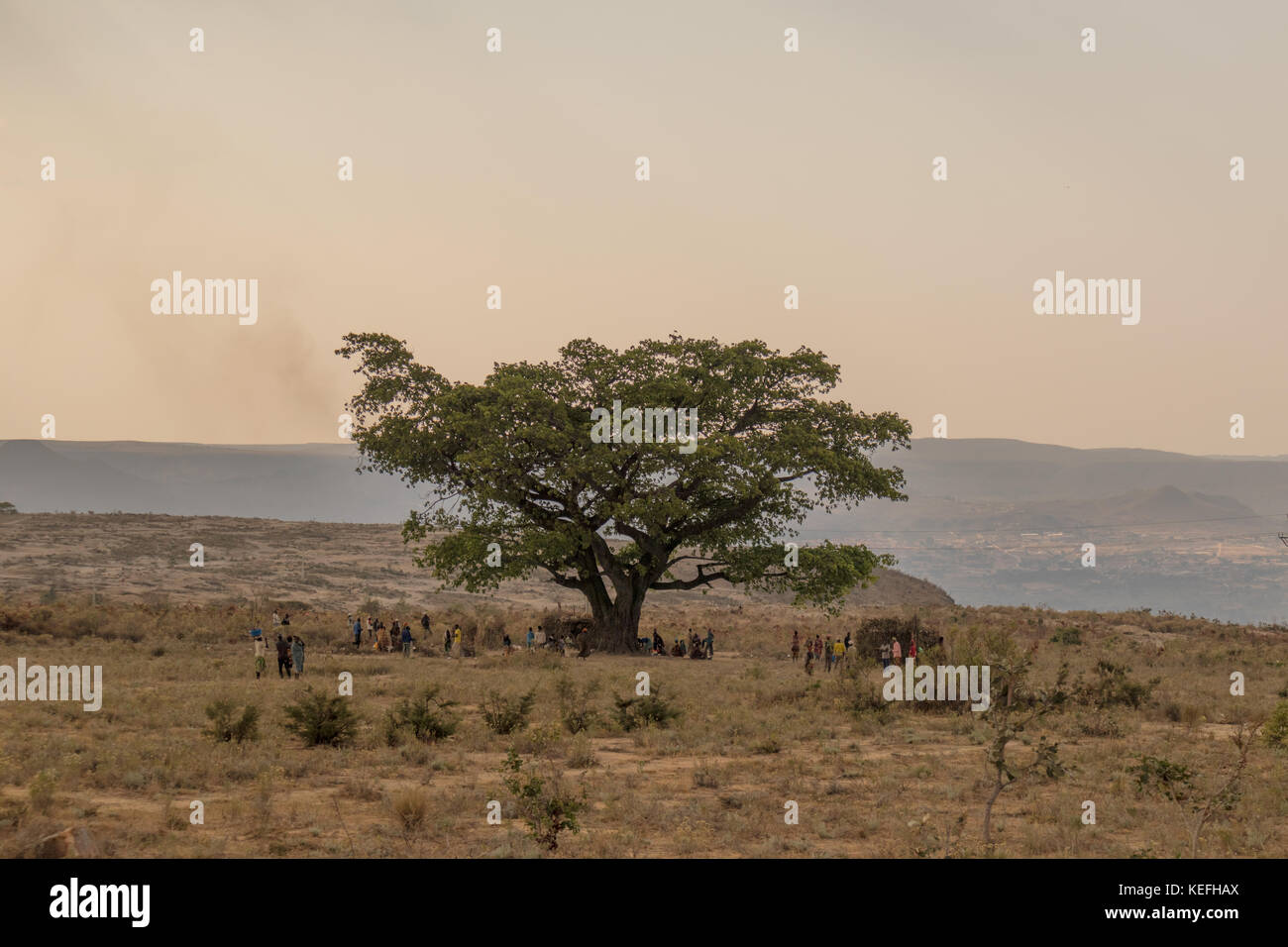 African community meeting under a tree Stock Photo - Alamy