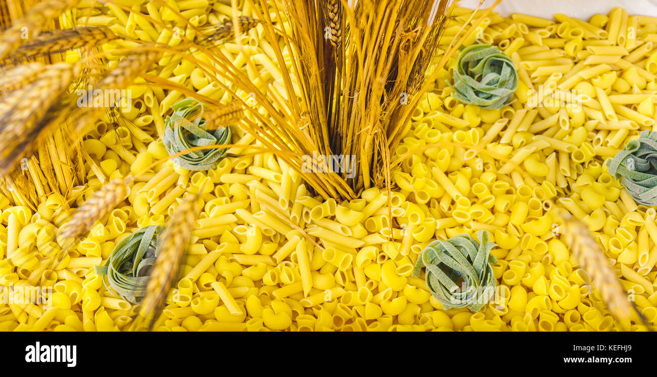 Food web hi-res stock photography and images - Alamy