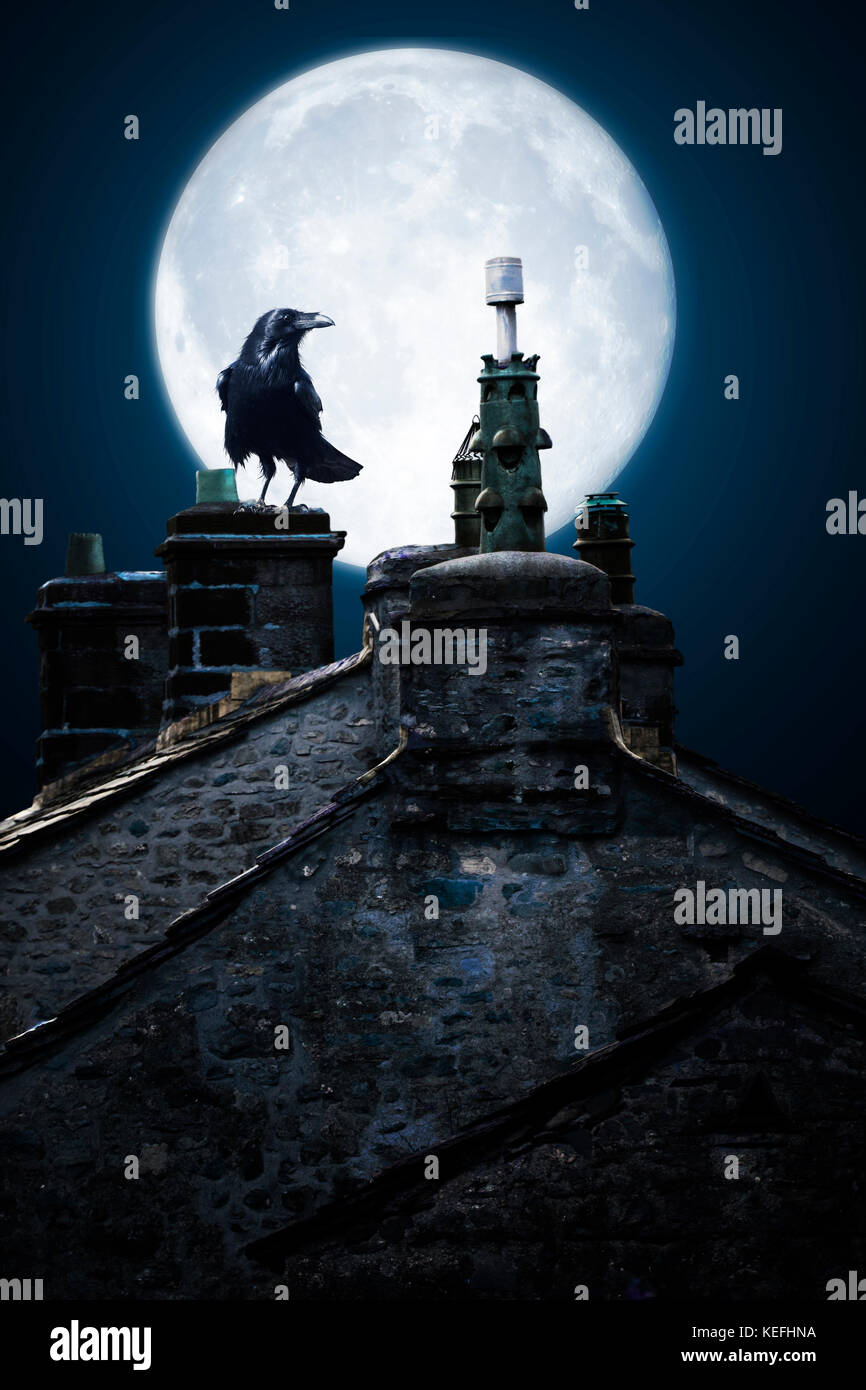 Night raven hi-res stock photography and images - Alamy
