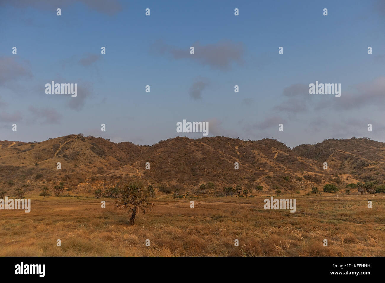 African farm field. Angola Stock Photo - Alamy