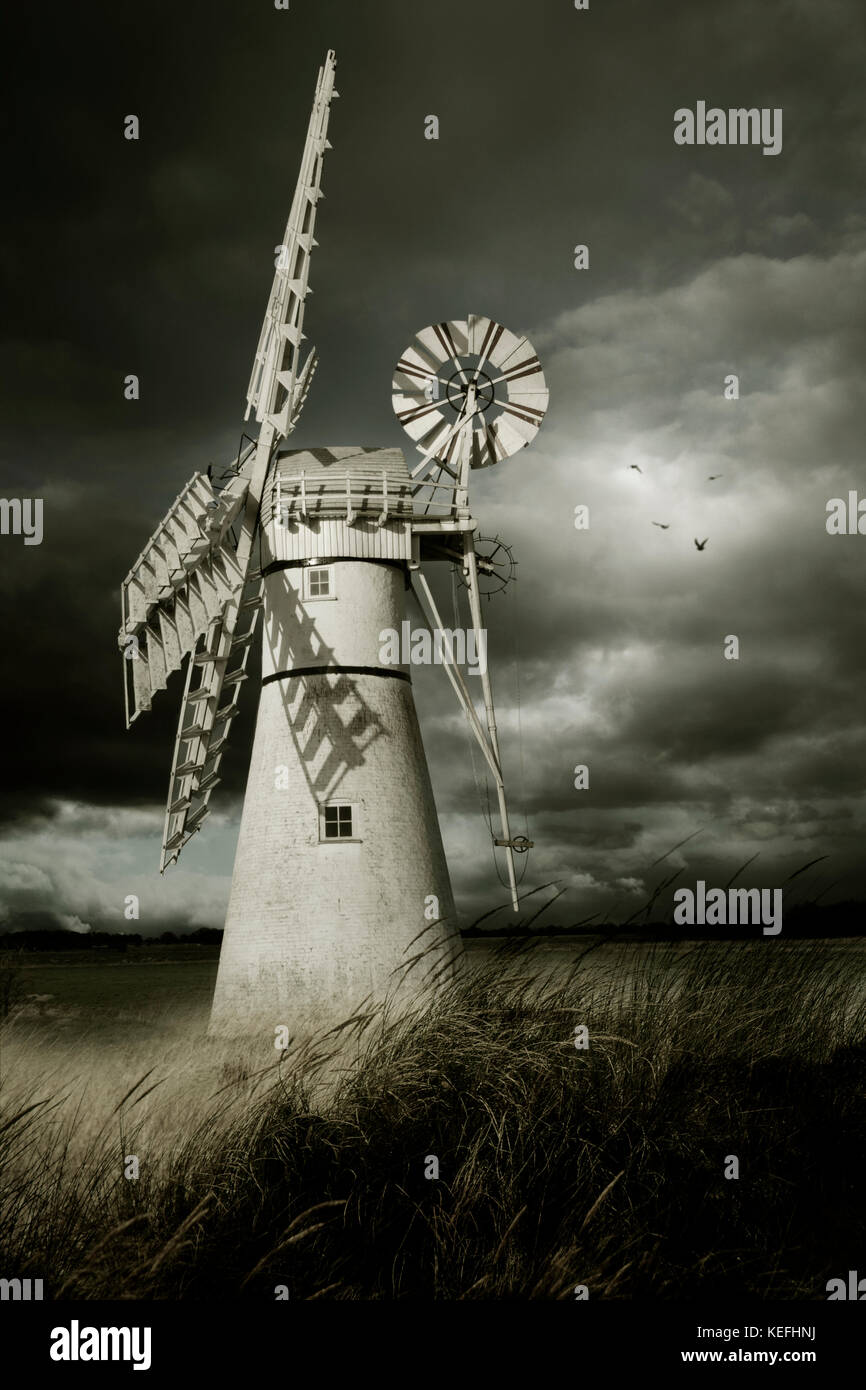 Creepy wind hi-res stock photography and images - Alamy