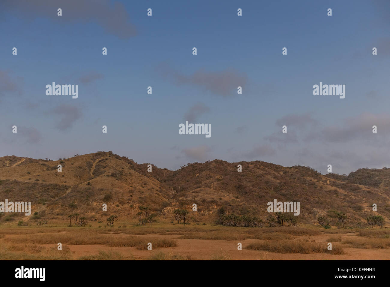 African farm field. Angola Stock Photo - Alamy