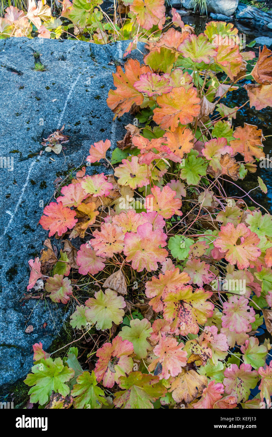 Rock change hi-res stock photography and images - Alamy