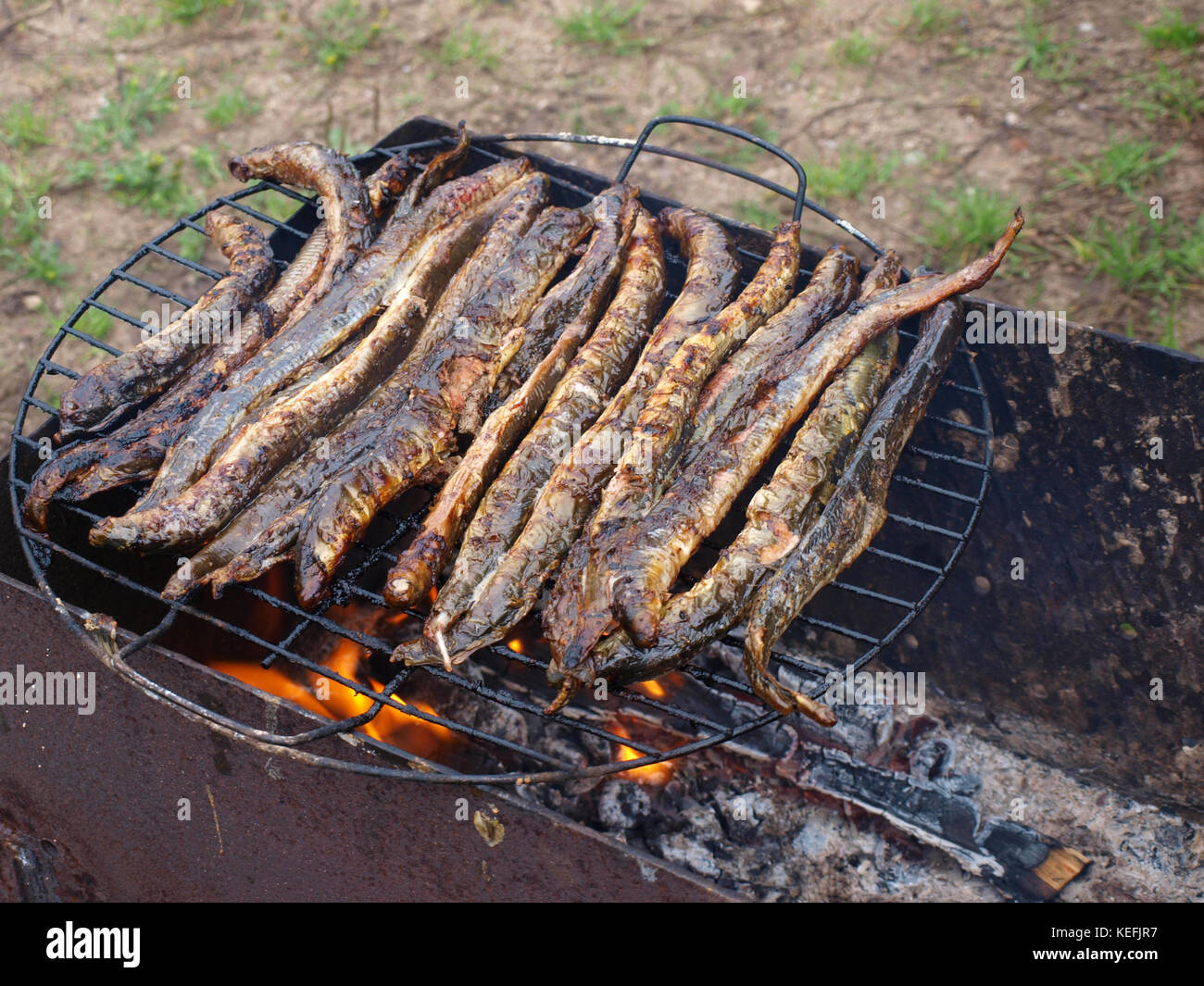 Grilled lamprey on the grid, close up Stock Photo - Alamy
