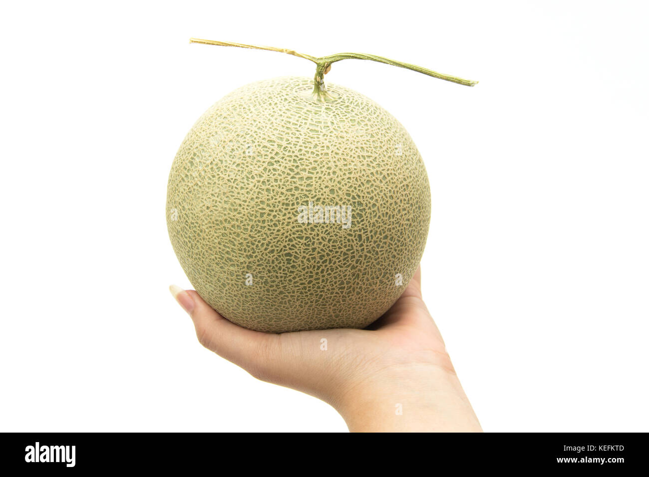 Melon on hand with white isolated background Stock Photo - Alamy