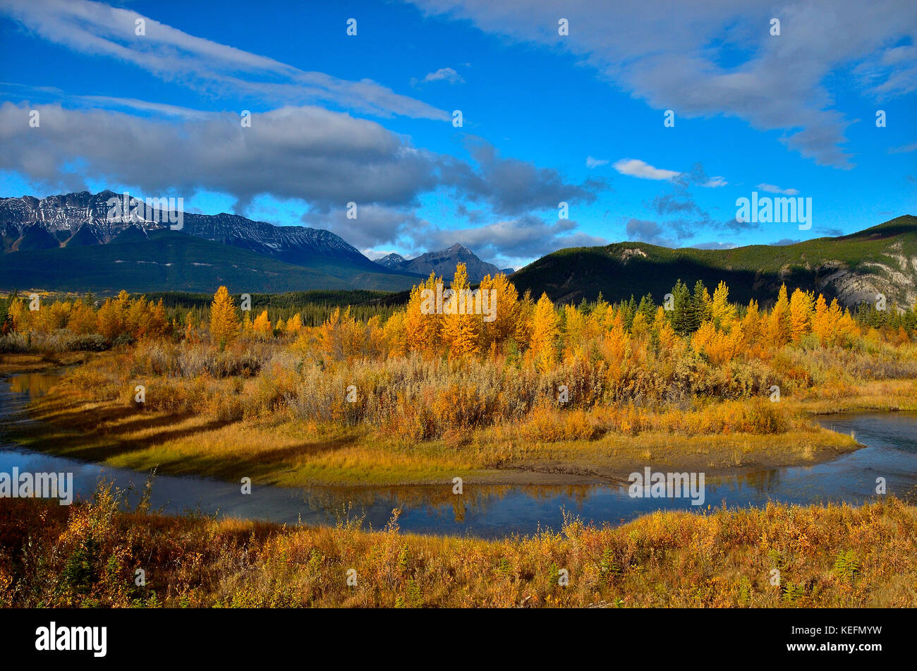 A fall landscape image of the vegetation turning colors in a rocky ...