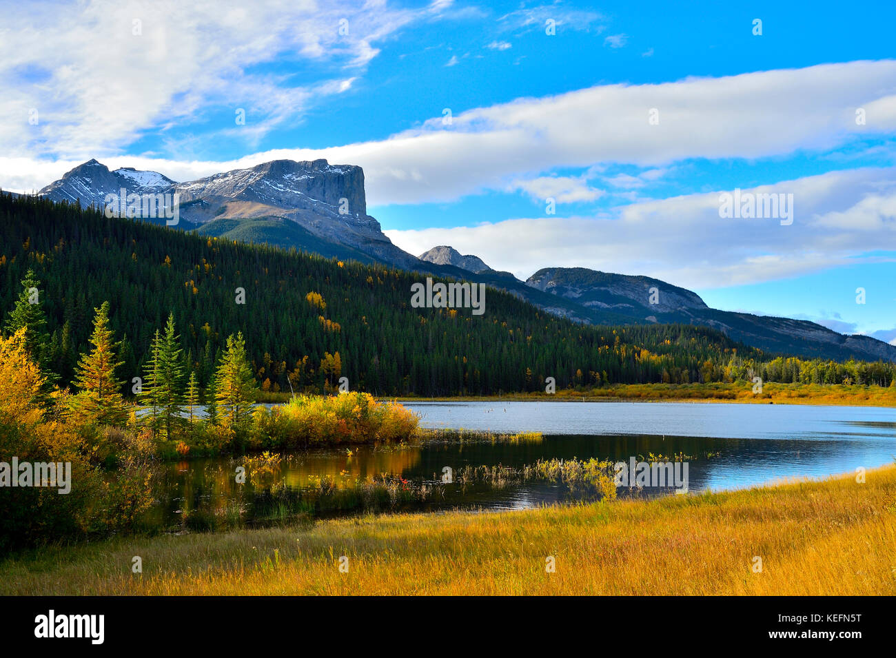 Roche miette jasper national park hi-res stock photography and images ...