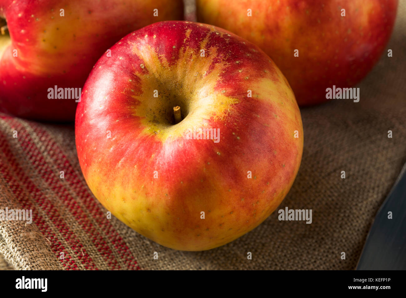 Raw Red Organic Sweet Tango Gala Apples Ready to Eat Stock Photo - Alamy