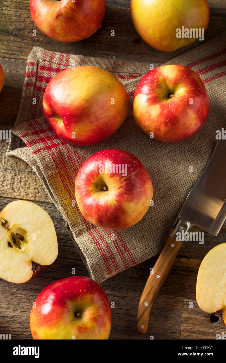 Raw Red Organic Sweet Tango Gala Apples Ready to Eat Stock Photo - Alamy